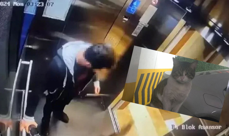 Başakşehir asansör kedisi Eros'un katili İbrahim Keloğlan tutuklandı mı? Kediyi tekmeleyen adam ...